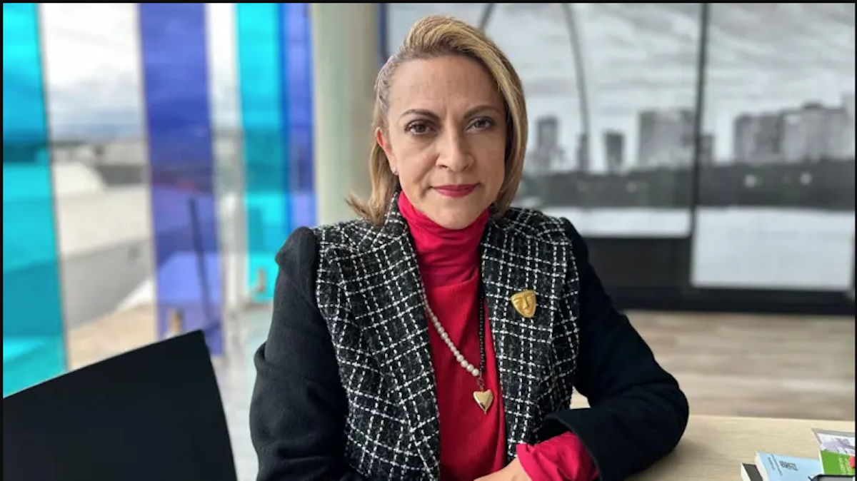 “Es como si el Estado me hubiese escupido en la cara una y otra vez”: Jineth Bedoya, la ...